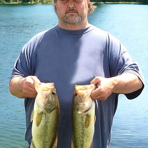 Obituaries | Frank & Bright Funeral Home